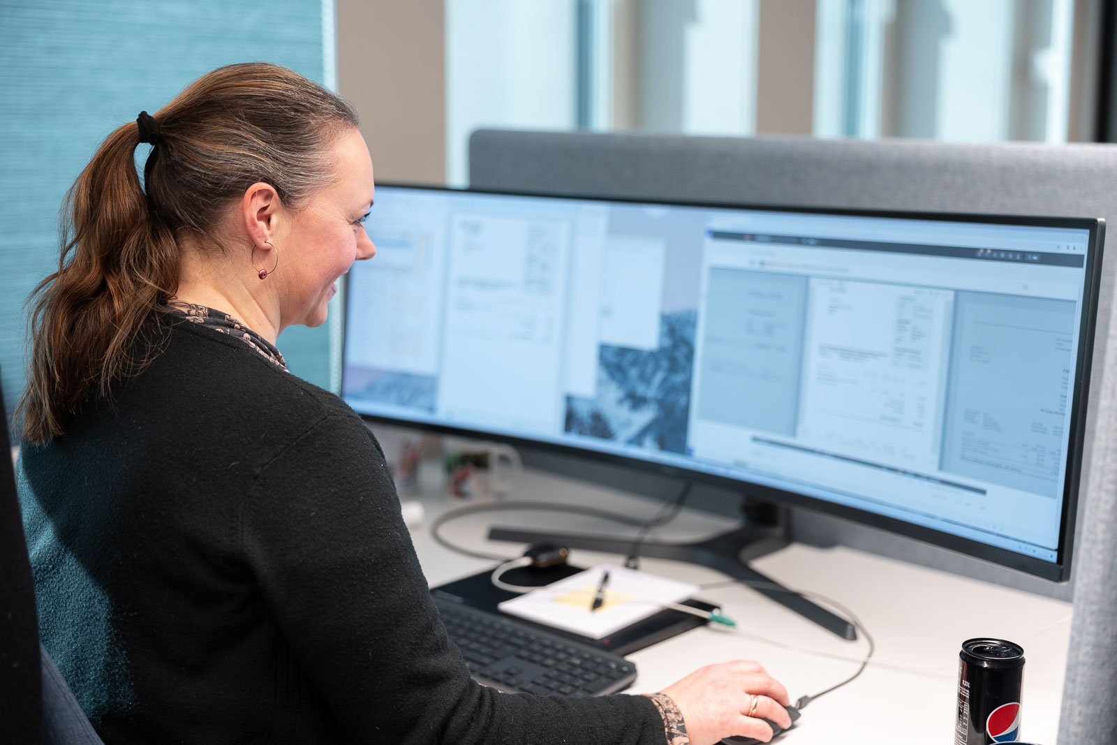 Regnskap - Statement